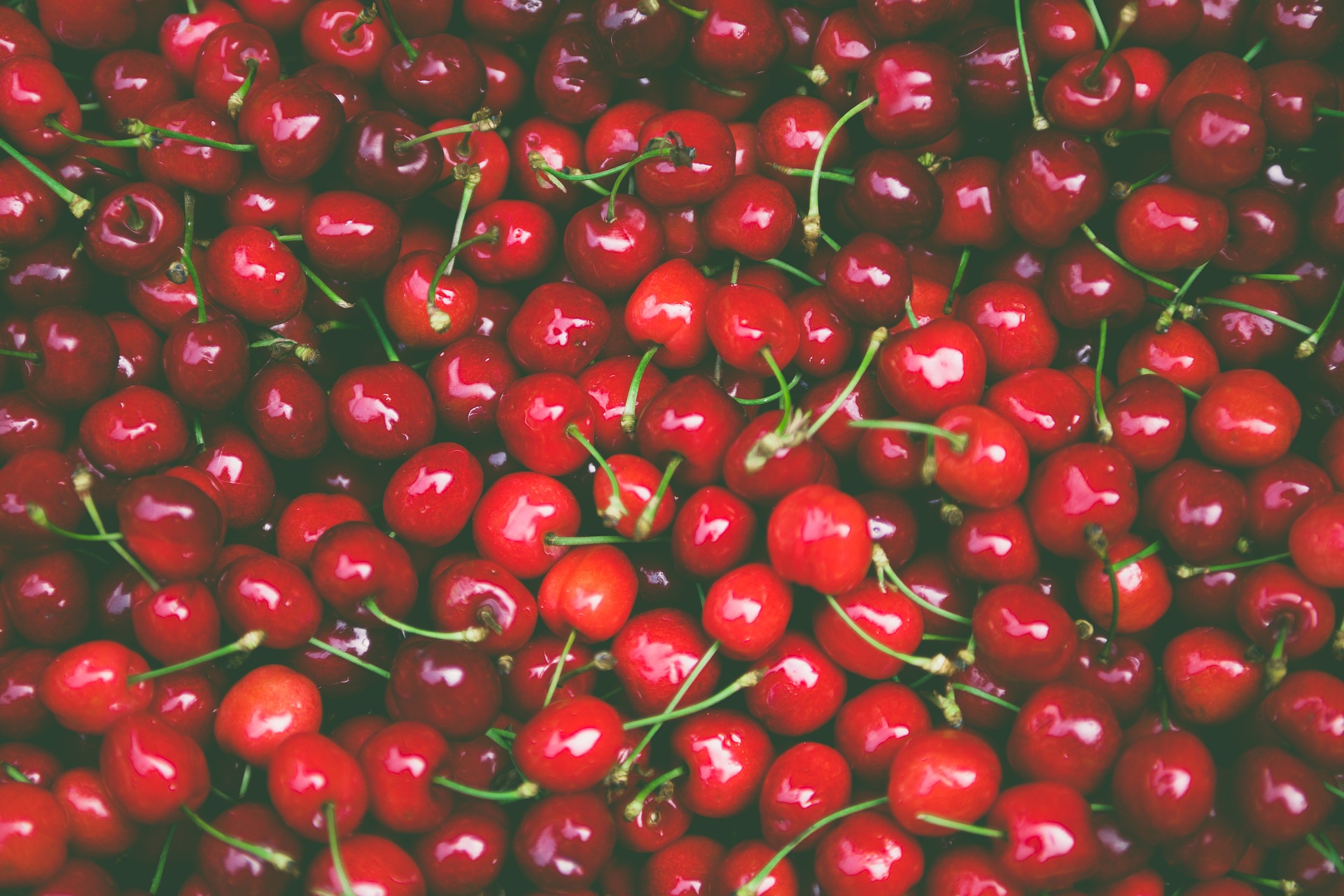 Cerezas – Geofrut